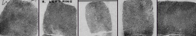 Biometrics: fingerprint: algorithms